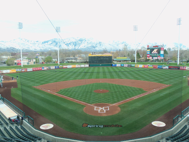 Mile High Turf Grass